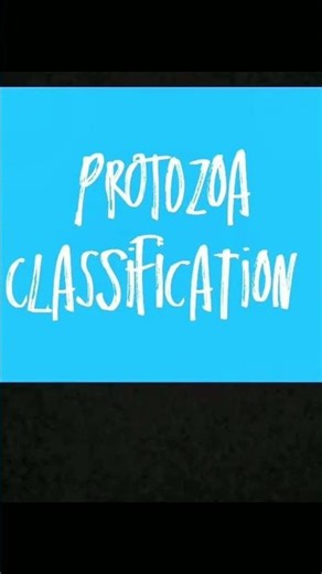 classification of protozoa