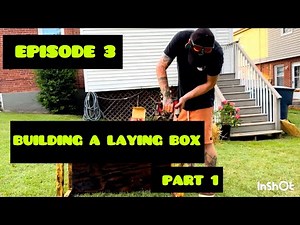 Egg-cellent DIY: Building a Chicken Laying Box