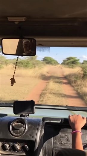 A leopard chasing a deer #leopard #usa #AI #fblifestyle #cardriving | Hollywood Lemons | Facebook