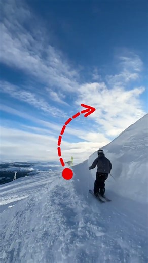 Have you ever tried doing a somersault on skis?