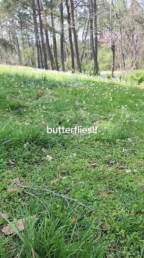 Angela Taylor (@angelataylor0338)’s videos with original sound - Angela Taylor