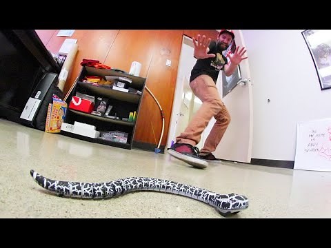 Remote Control SNAKE PRANK Scare!