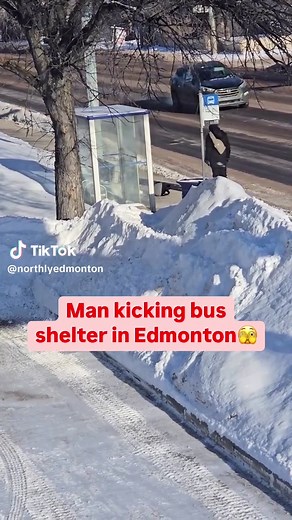 northlyedmonton on TikTok