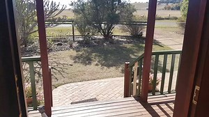 2.3K views · 132 reactions | Working on having manners and not allowing dogs to push past you. Teaching dogs to wait until they are asked out or in the household. I have opened the gate and not asked them to stay as they have been taught to wait automatically if i had of said rightio i would have had a stampede as that is what has been taught.  | Above and Beyond Dog Training and Rehabilitation | Facebook