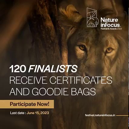 Calling all wildlife photographers! Don't miss this opportunity to gain recognition and rewards. Participate now. | Nature inFocus