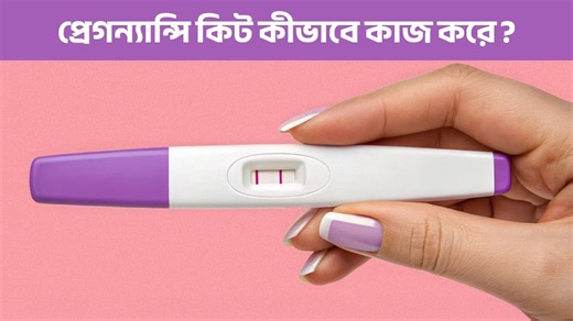 Pregnancy Testing Kit: মাত্র ৫০ টাকার প্রেগন্যান্সি টেস্ট কিটে কীভাবে গর্ভাবস্থা শনাক্ত হয়? হবু বাবা, মায়েদের জানা জরুরি