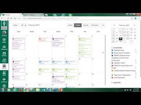 IvyLearn Fundamentals: Navigating the Global Interface