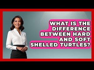 What Is The Difference Between Hard And Soft Shelled Turtles? - The Marine Life Explorer