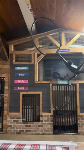 They all love the aerial hoop❤️ | Our Life Adventures