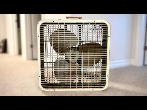 1970s Electrohome 20” Box Fan (Crusty & Dusty)