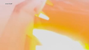 United flight makes emergency landing after apparent rabbit strike, video shows engine fire