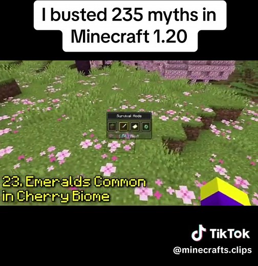 Minecraft on TikTok