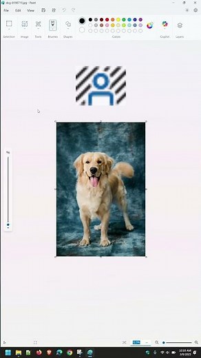 How to remove the background from an image with 1 click on Windows 11