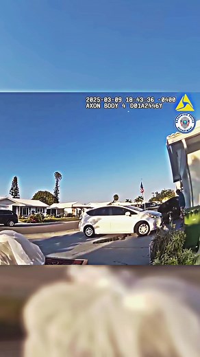 Alligator Blocks Delivery Cop Brings Pizza To Grandma | john talks bikes