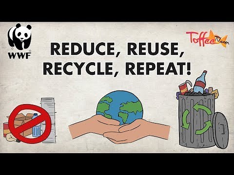 Reduce, Reuse, Recycle, Repeat | Recycling Ideas For Kids | Toffee TV