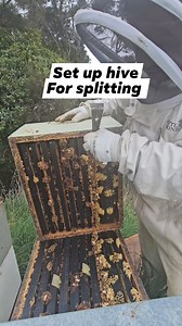 Set up hives for splitting 4.broods top box 6.broods bottom box##fbreels23 #beekeeping #beekeeper #beekind #Beekeeping | Beekeeping Journey
