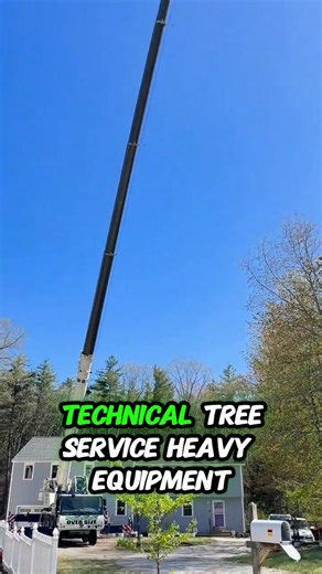 41 reactions | Tree Removal NH – Precision Crane Work in Londonderry...