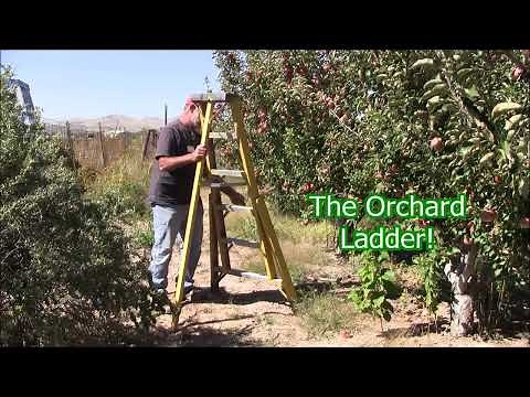 ORCHARD LADDERS - Safe & Efficient! | Why You Need One Too ;)