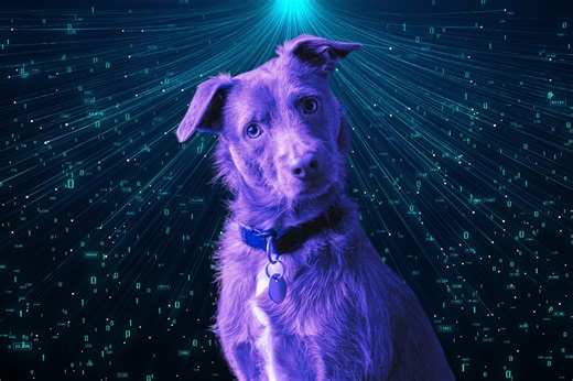 Your Pets Could One Day Be Able to Talk to You With AI