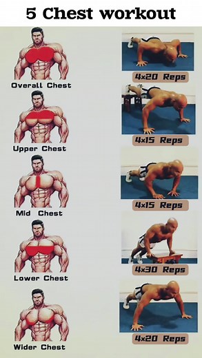 #chest #chestworkout #chestexercise #fitness #workout | Health Fit Home