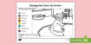 Grumpy Cat Colour-by-Number