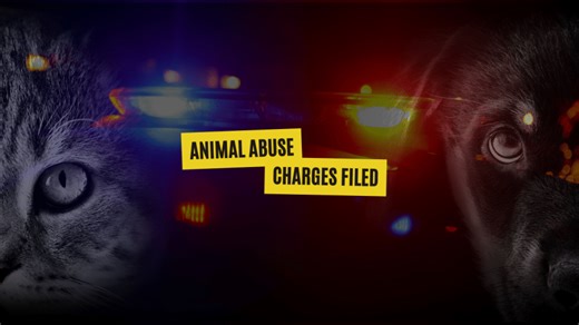 Johnstown woman charged after two dogs found abandoned in cage