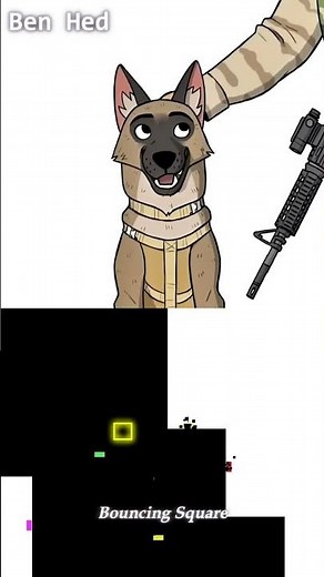 Pixie and Brutus (7 Weeks & 3 Days) | Bouncing Square