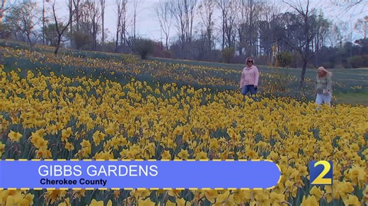 WSBTV "Georgia's Hidden Treasures" | Gibbs Gardens