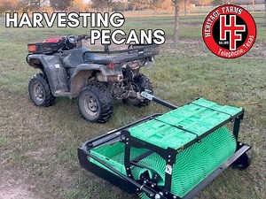 Pecan Harvesting equipment