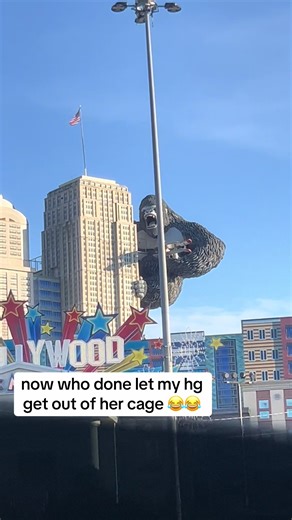 uhhhh. EDIT: i did not expect this to blow up 😭😭 !! this was in pigeon forge tennessee !!#gorilla #funny #homegirl #hg #pigeonforge