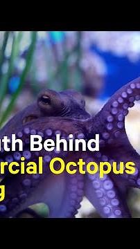 The Truth Behind Commercial Octopus Farming