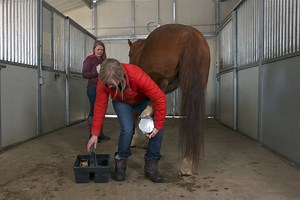 If your horse has a hoof bruise or an abscess, your veterinarian might recommend applying a poultice to draw out infection and inflammation. Here's how, step by step: https://mynewhorse.equusmagazine.com/2025/03/26/how-to-apply-a-poultice-to-a-horses-foot/ | My New Horse