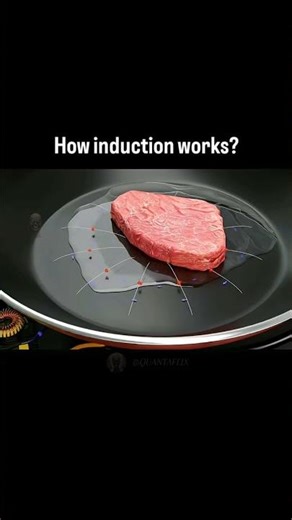 An induction stove works by creating a magnetic field #magnetcfield #magnet #induction #inductionsto