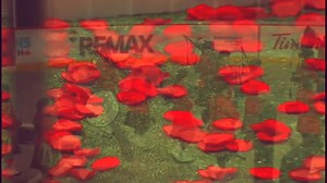 1.4K views · 51 reactions | 2025 Remembrance Day Ceremony | Saskatchewan RCMP Pipes, Drums and Dancers. | Facebook