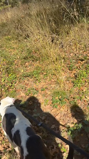 7.3K views · 186 reactions | We officially closed on the new land...