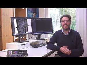 Sim4Life V7.2: From Image Data to Thermal Effects and Neurostimulation