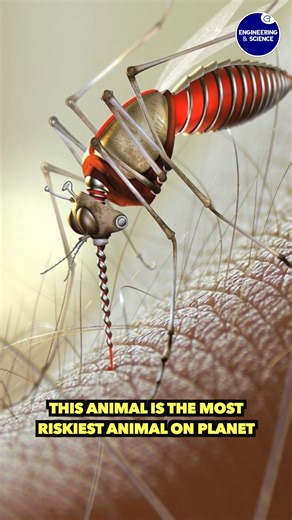 This Animal Is The Most Riskiest Animal On Planet | Engineering & Science