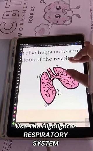 Respiratory System Explained | Anatomy, Parts & Functions for Nursing & Med Students