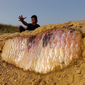 590K views · 8K reactions | Awesome Video Of Fish Finding & Catching By Hand Big Golden Fish Inside Hole River Side #fish #fishing | Fisherman Animal Lover-Original | Facebook