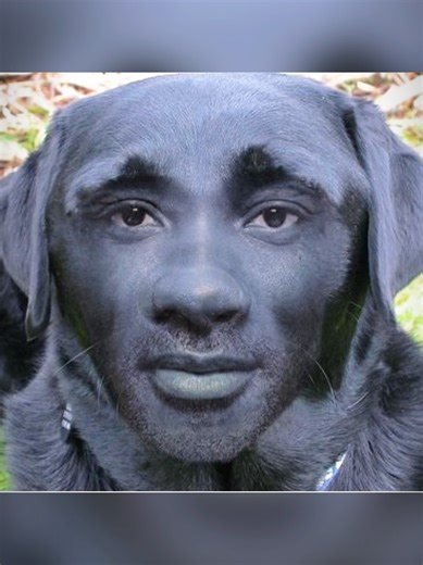 #laughchallenge #laughchallenge #viral #yousmileyoulose #unitedstates