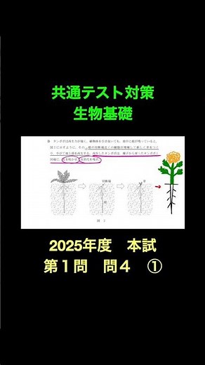 [Basic Biology] Common Test Preparation 4 #Basic Biology #Common Test