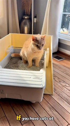 Kubra Dasdemir on Instagram: "Cleaning the litter box doesn’t have to be a chore anymore! With the UBPET smart litter box, everything is automatic. It cleans itself after my cat leaves, helps control odors, and I can manage everything right from my phone using the app 📱 ⏱️ Custom cleaning timer 🔒 Child lock for safety 😴 Do Not Disturb mode 🧼 Clean, hands-free experience It’s made my daily routine so much easier — and my cat is more comfortable too 🐱✨ ✨ Check the link in my bio for more deta