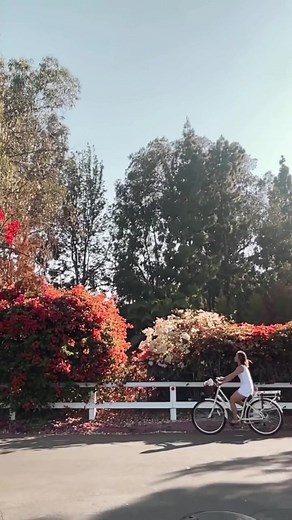 A Day in the Life with the Beaumont Rev Electric Bike