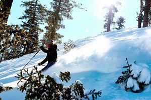 155 reactions · 12 shares | (Powder Photo Sequence from 1 Week Ago)...