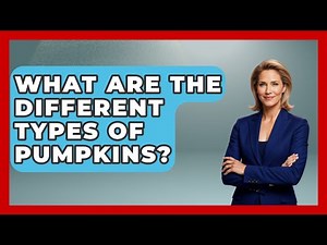 What Are The Different Types Of Pumpkins? - The World of Agriculture