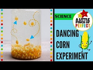 How to Make DANCING CORN / Science Experiment for KIDS/ EASY Science / Do at Home