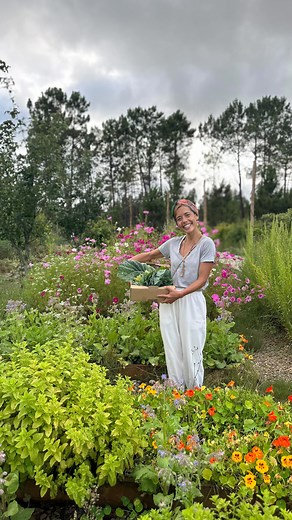 42K views · 1.5K reactions | Imaginem estarem num espaço onde os...