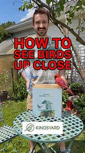 3.1K views · 73 reactions | ✨ Ever wish you could watch your...