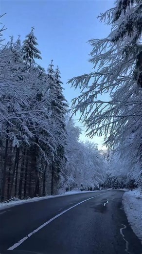 What is it about a winter road that whispers to the wanderer’s soul? A wet ribbon of asphalt, slick and ink-black, carving through a cathedral of snow-laden trees—tall, solemn, draped in white like silent monks at prayer. It slithers forward, vanishing into the mist, daring you to follow. This is no mere road. It is an invocation, a beckoning, a test. The kind of path that makes you grip the wheel tighter, lean forward, and let the cold bite at your skin as you lower the window just to taste the