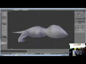 Gecko Modelling (20x Time Lapse)
